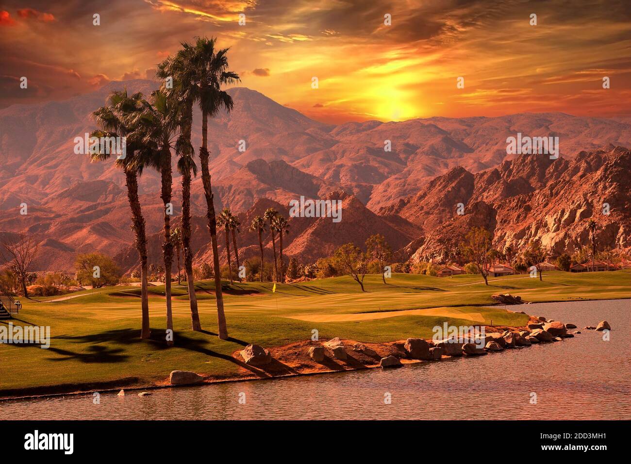 golf course at sunset in palm springs, california, usa Stock Photo - Alamy