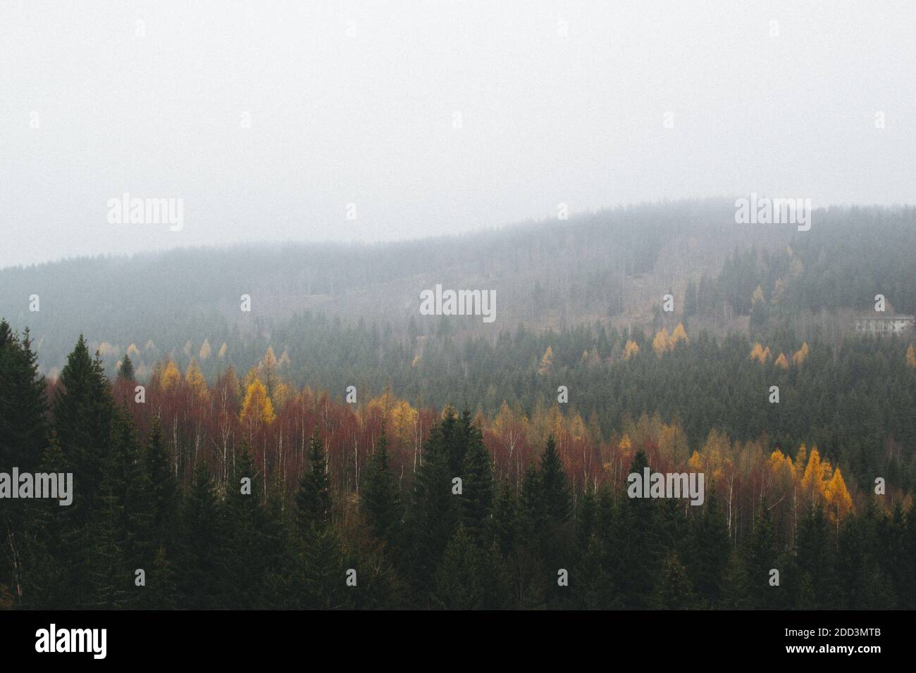 Finn in hi-res stock photography and images - Alamy