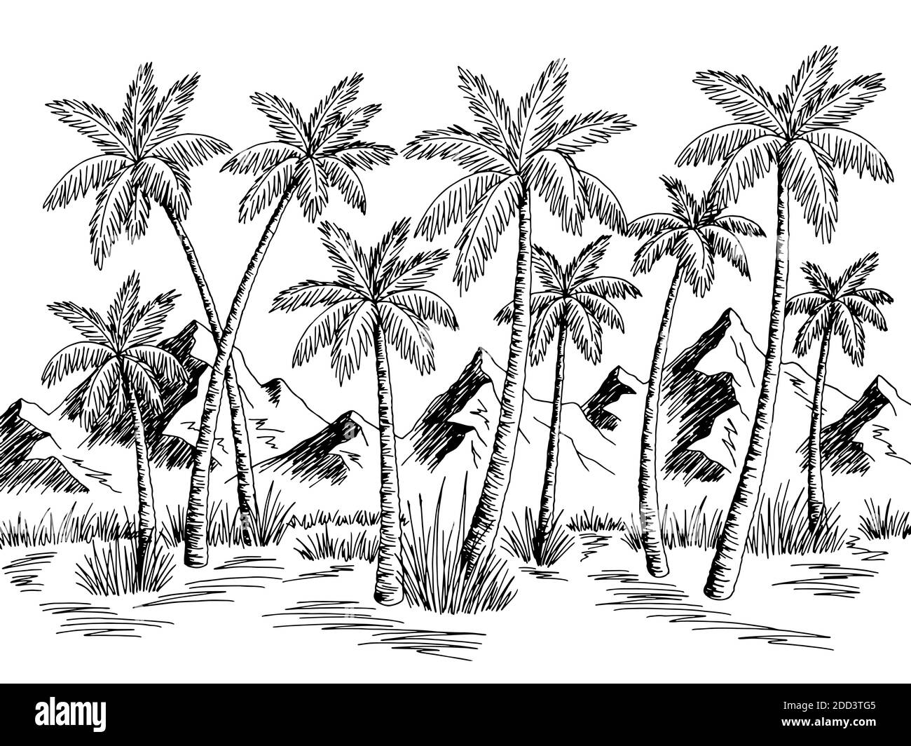 Mountain palm grove graphic black white landscape sketch illustration ...