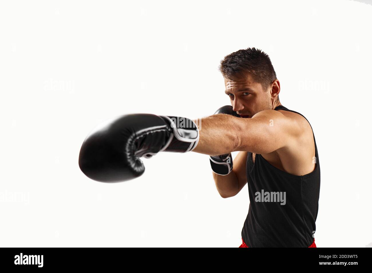 sporty man in black boxing gloves punching isolated on white background ...