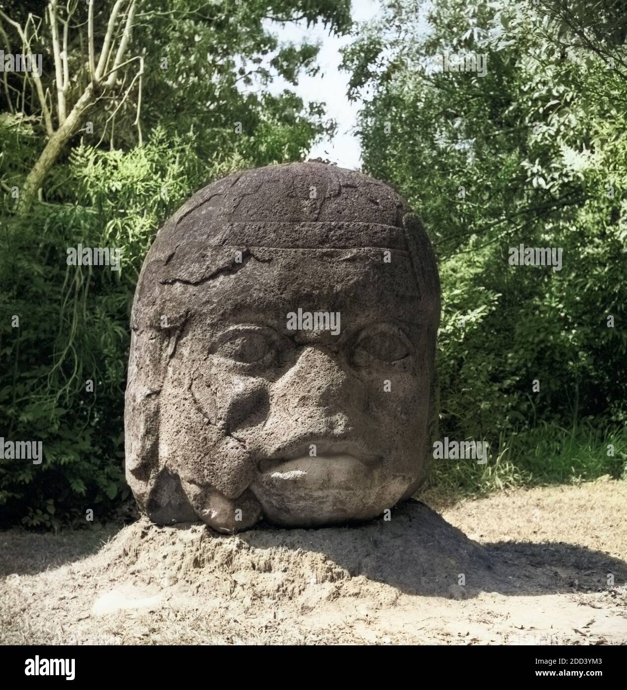 Olmekenkopf in Villahermosa, Mexiko 1960er Jahre. Olmec sculpture head ...