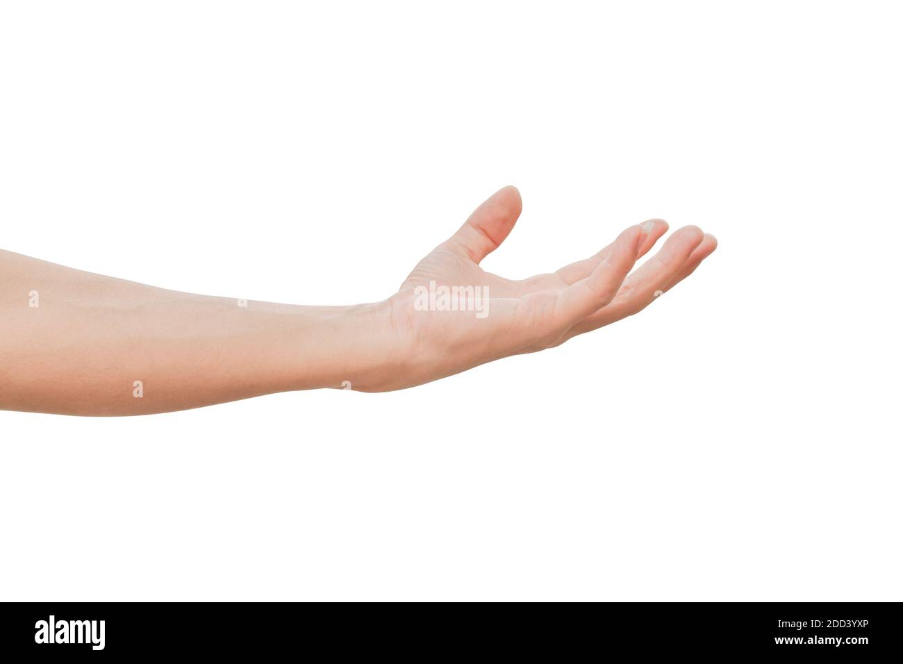 Close-up of male hand open palm up isolated on white background. with ...