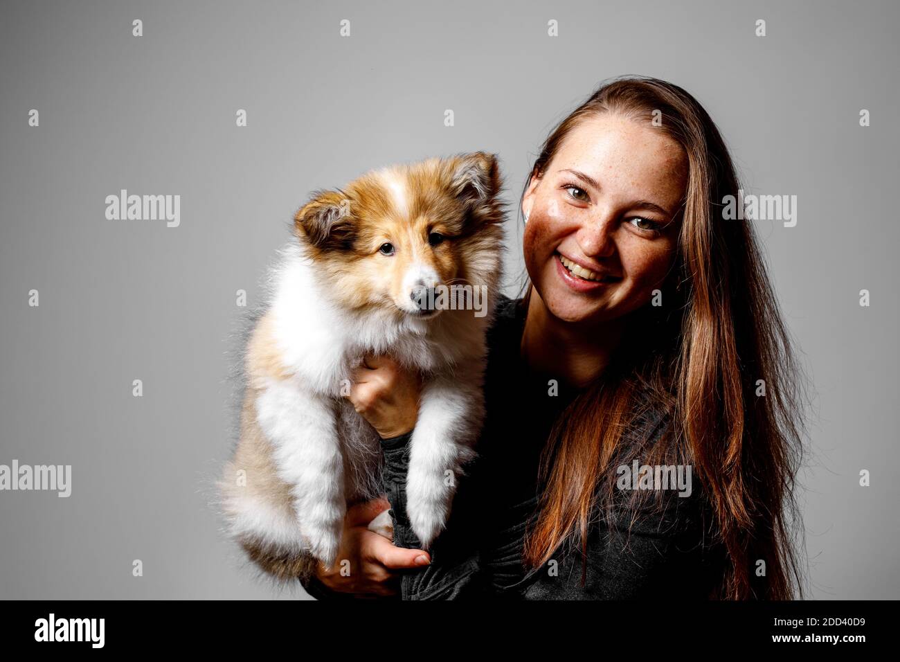 Sheltie and human hi-res stock photography and images - Alamy