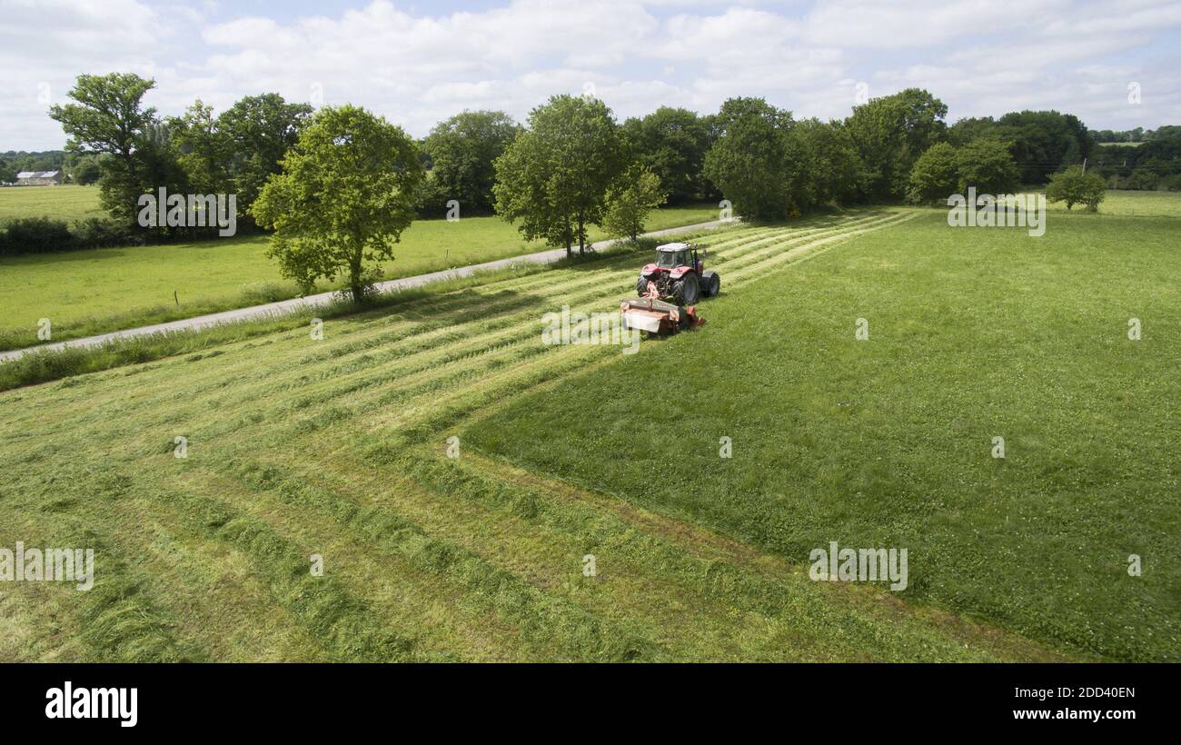 Grass reaping: tractor and harvester in a field, farm in Guipel ...