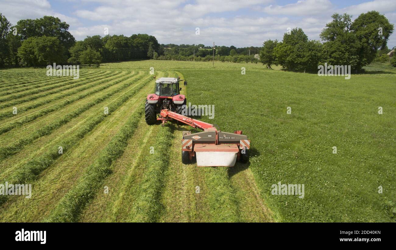 Grass reaping: tractor and harvester in a field, farm in Guipel ...