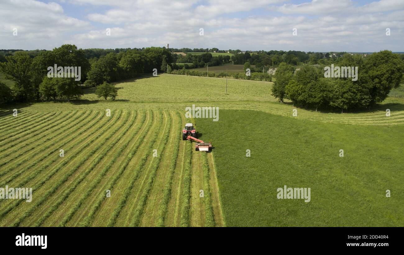 Grass reaping: tractor and harvester in a field, farm in Guipel ...