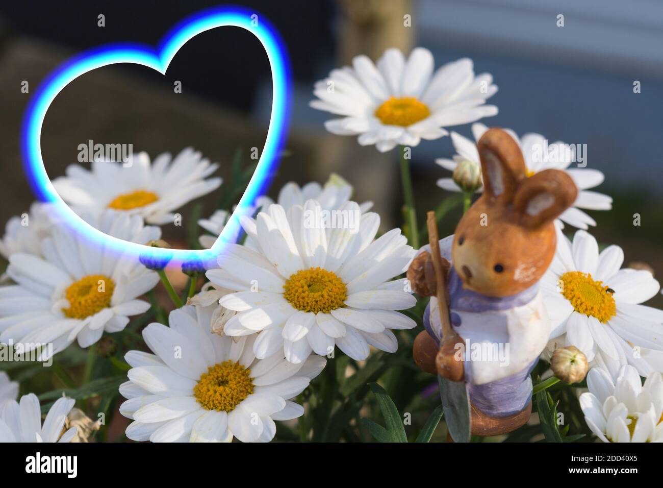 Daisies for Easter with a little Easter bunny Stock Photo - Alamy