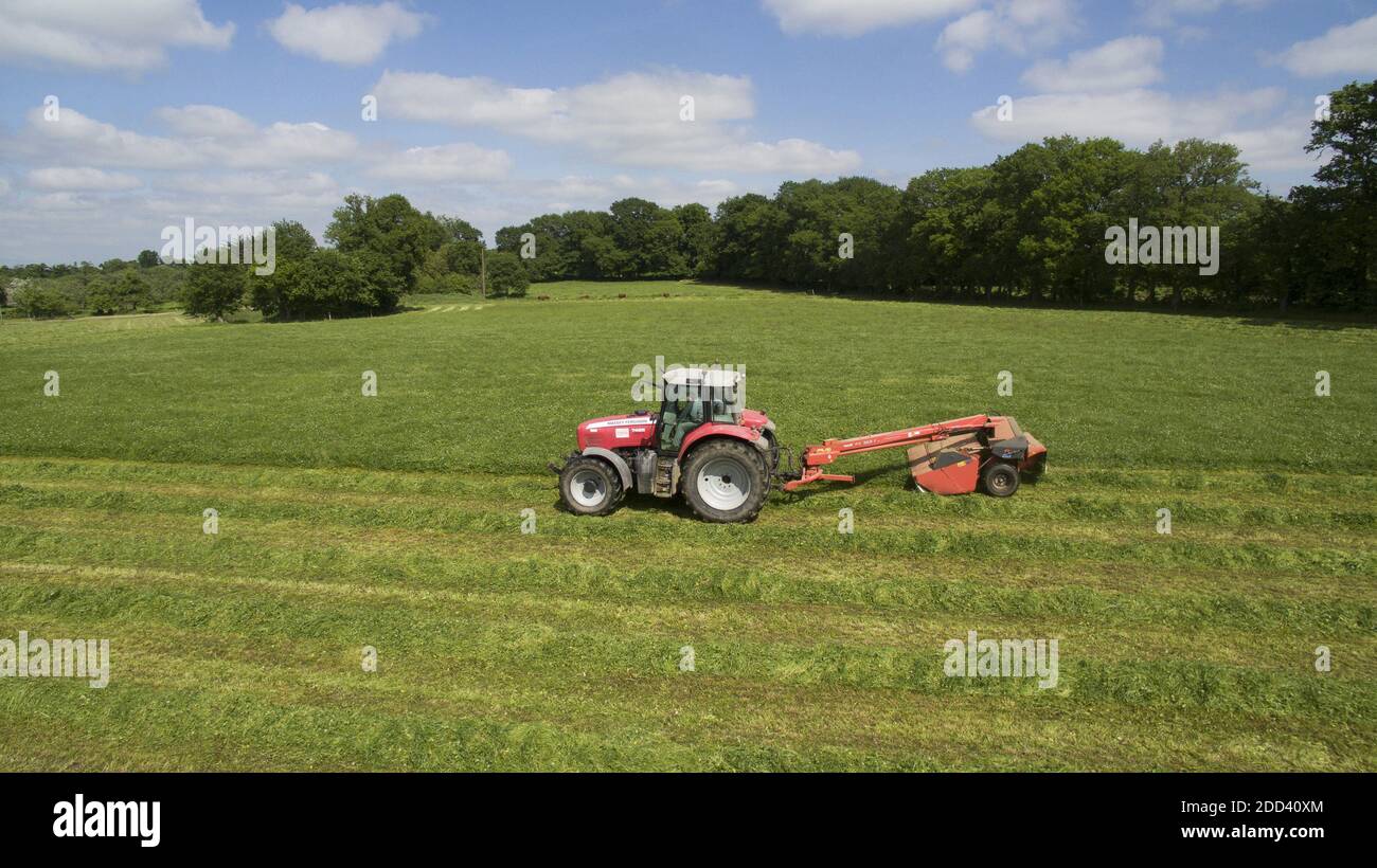 Grass reaping: tractor and harvester in a field, farm in Guipel ...