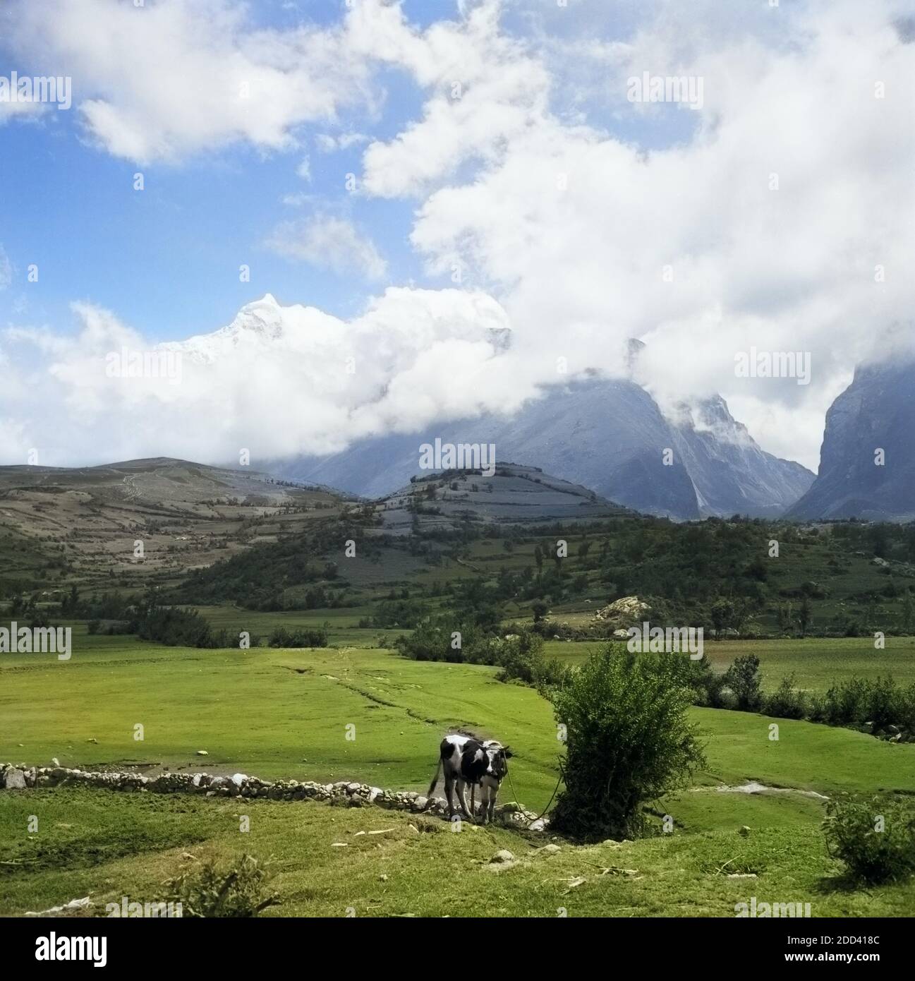 Die Landschaft im Gebirgstal Callejon de Huaylas im Hochgebirge der ...