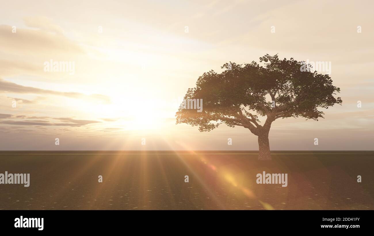 tree in the meadow sunset, 3d render illustration Stock Photo - Alamy