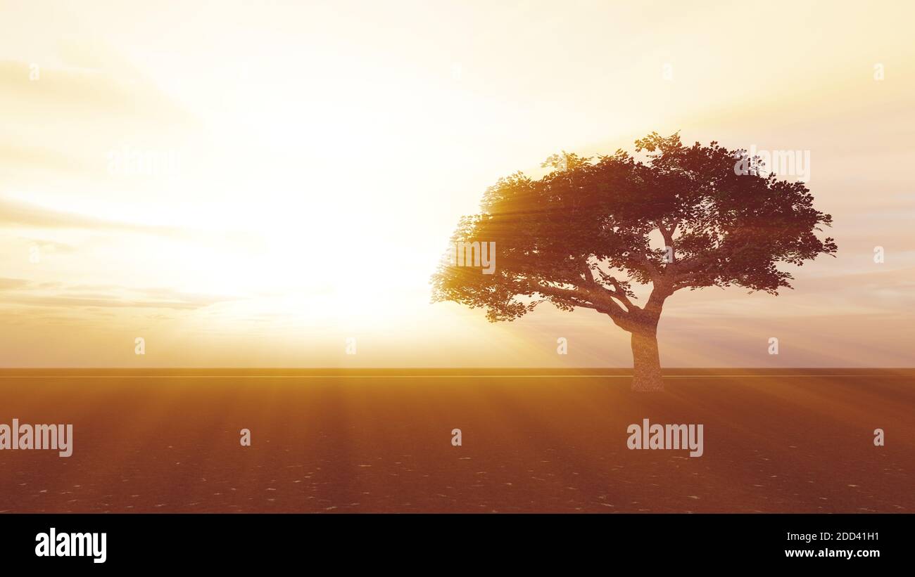 tree in the meadow sunset, 3d render illustration Stock Photo - Alamy