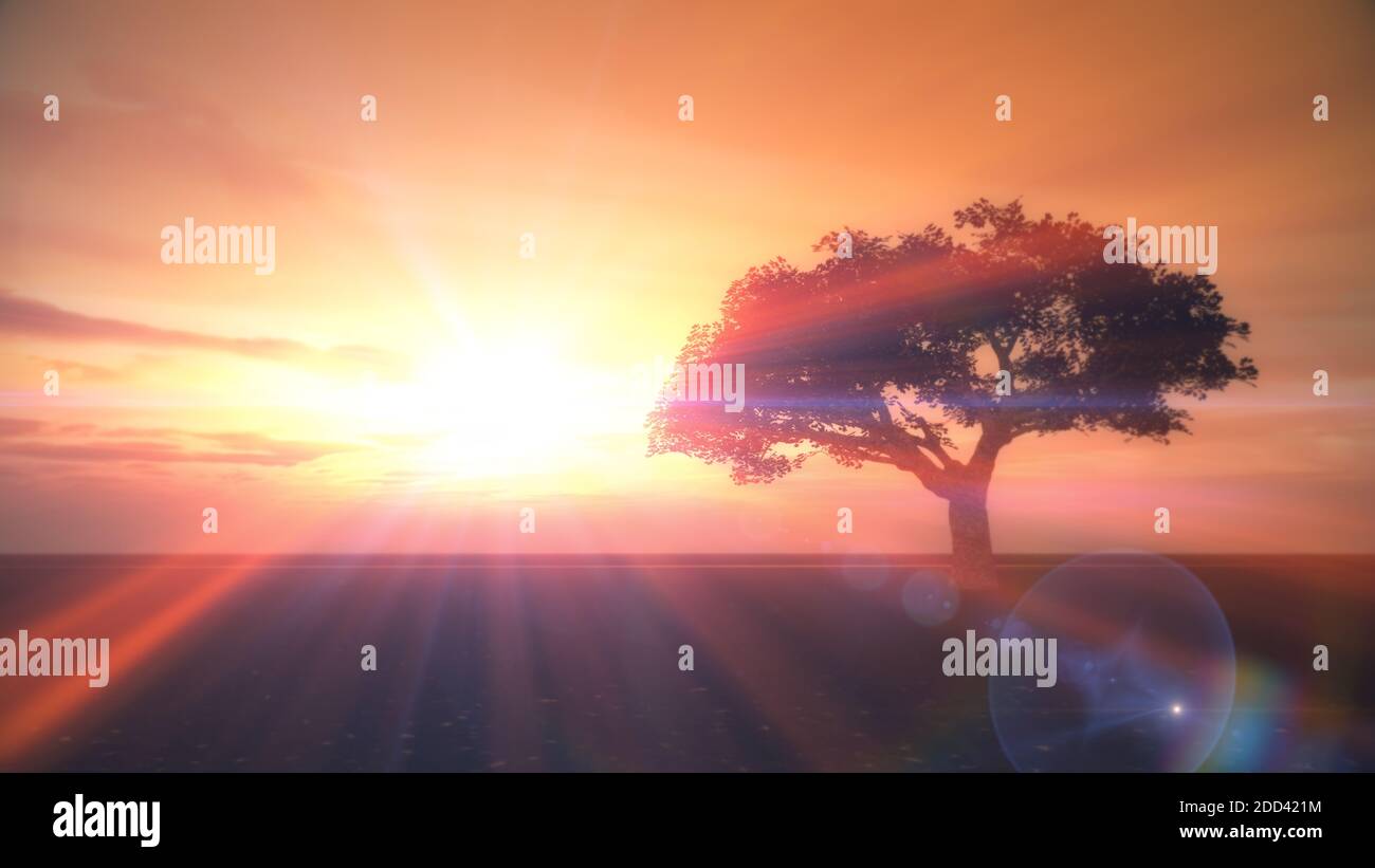 tree in the meadow sunset, 3d render illustration Stock Photo - Alamy