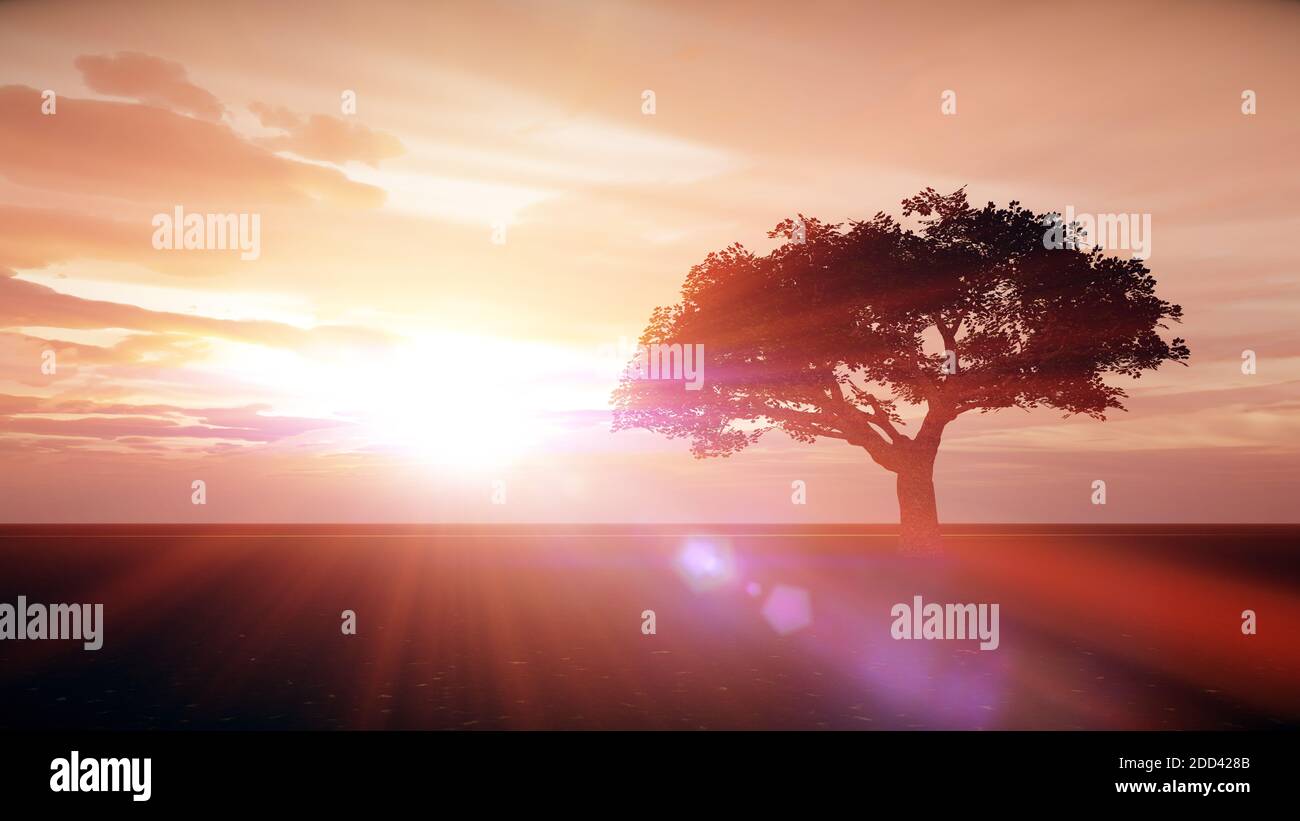 tree in the meadow sunset, 3d render illustration Stock Photo - Alamy