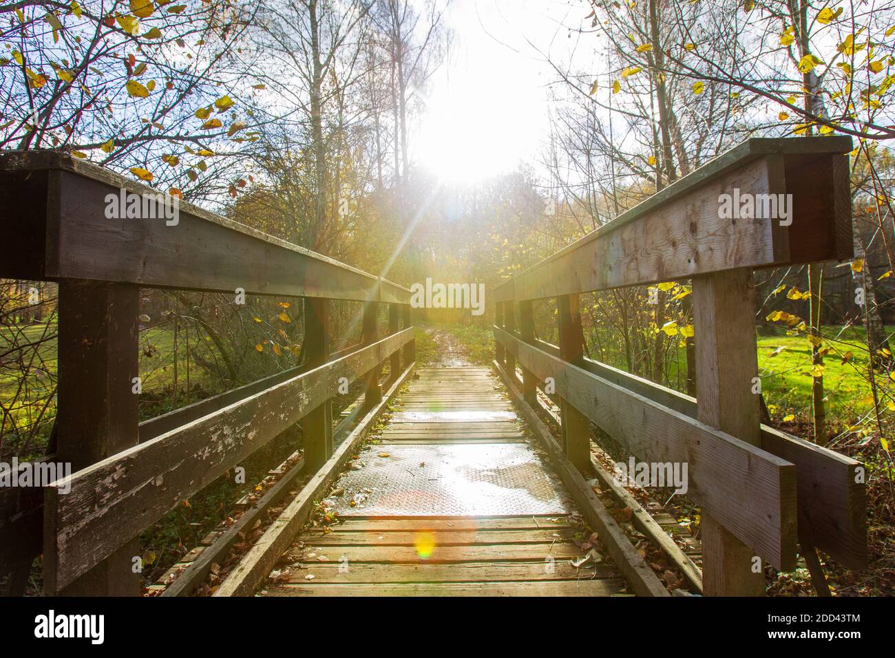 Hidden defects hi-res stock photography and images - Alamy