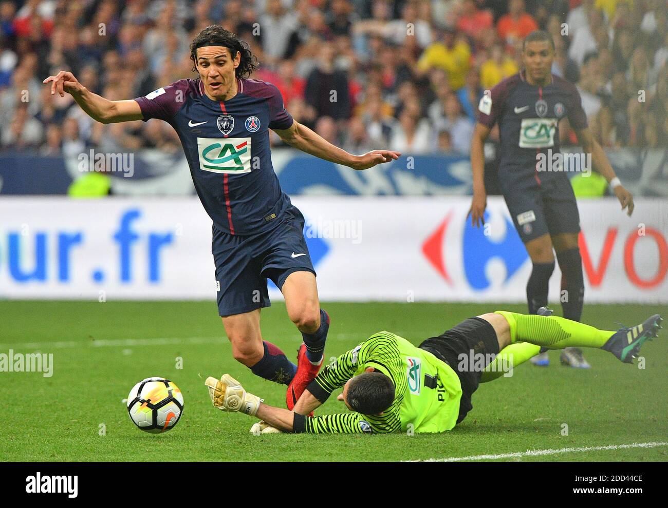 Matthieu pichot hi-res stock photography and images - Alamy