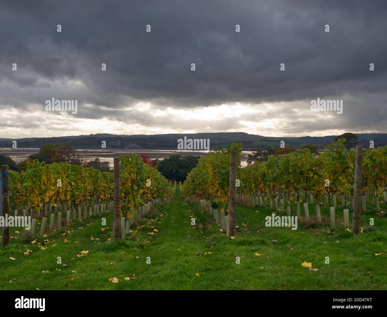 Lympstone manor hi-res stock photography and images - Alamy