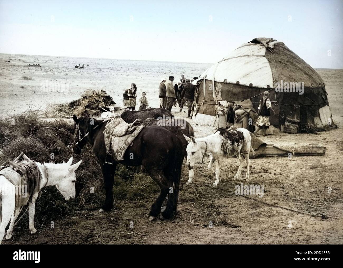 Nomadenjurte in der Kysylkum Wüste in Usbekistan, Sowjetunion, 1970er ...