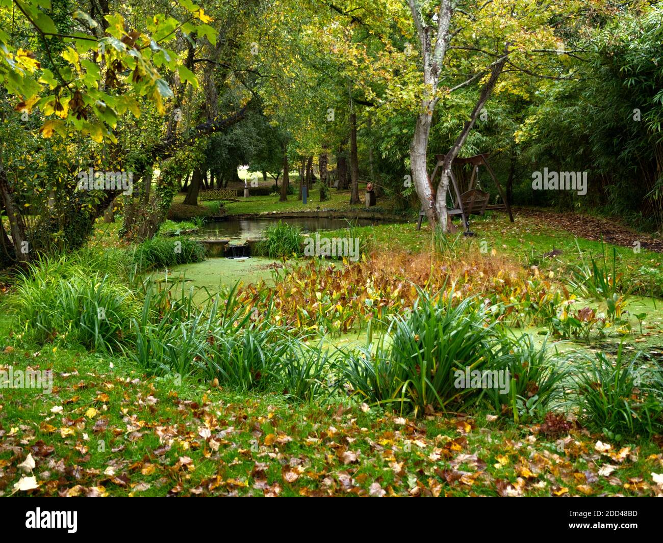 Lympstone Manor Luxury Hotel, Devon, UK. Michelin Star Restaurant. Chef ...