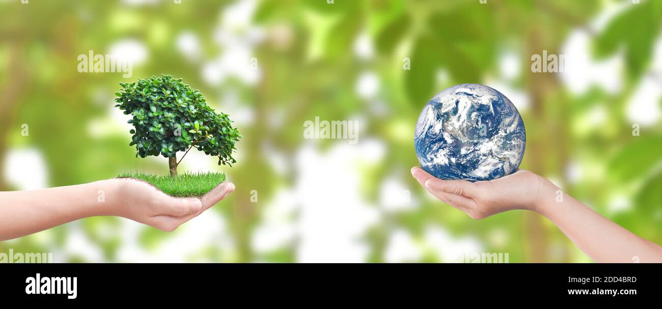 Environment day concept: Child hands holding tree and earth over ...