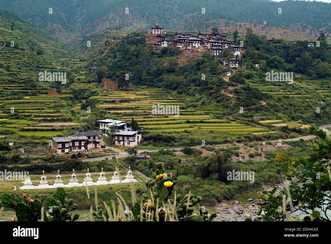 Bhutan, village Rinchengang in Wangdue Phodrang, terraced fields, and ...