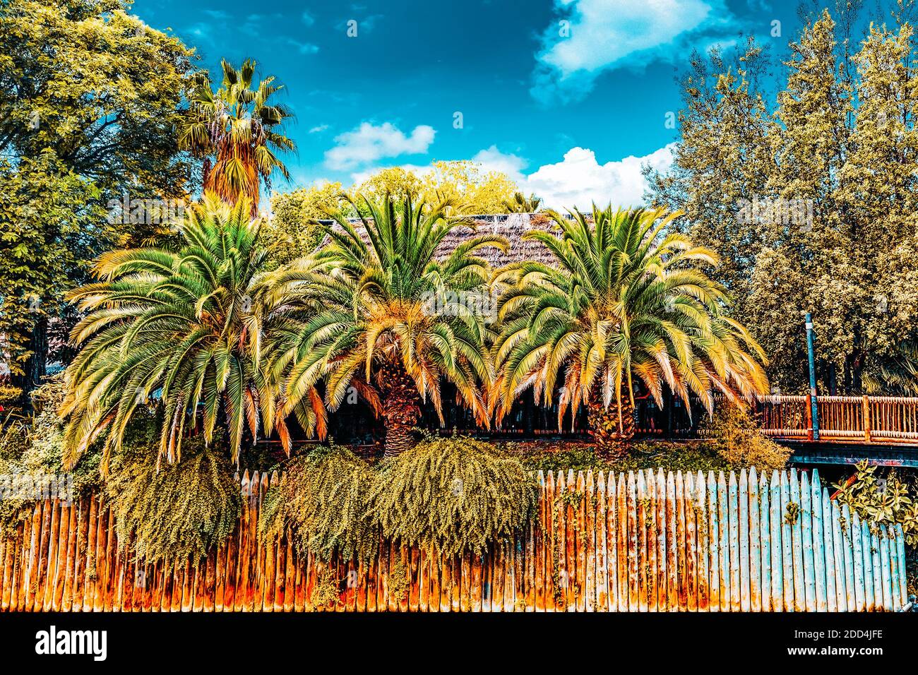 Beautiful landscape of humid tropical jungle Stock Photo - Alamy