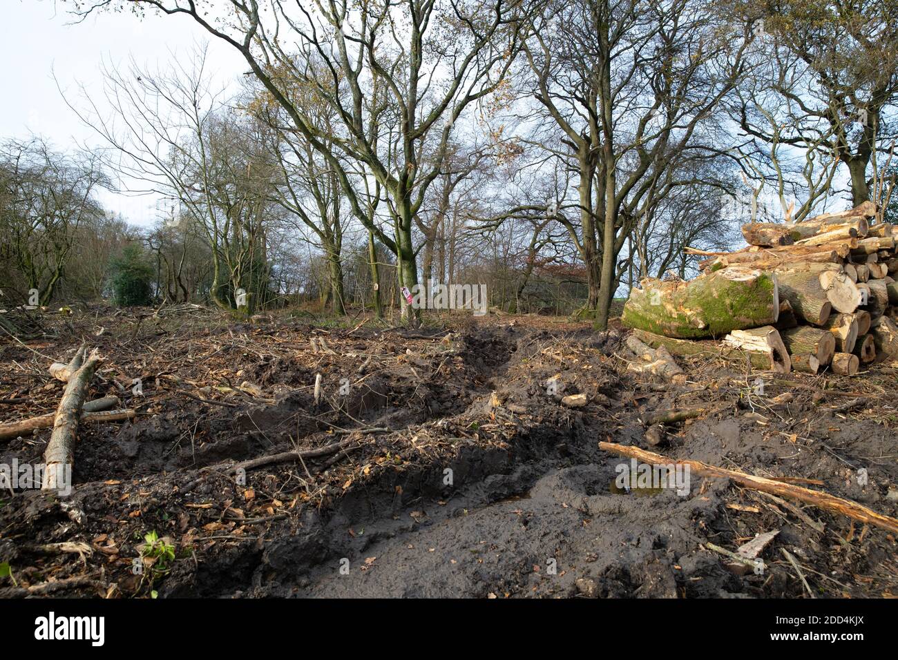 Diseased crops hi-res stock photography and images - Alamy