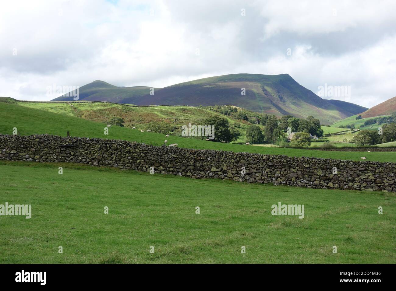 The 'Skiddaw' Range of Wainwrights from a Path/Track in St John's in ...