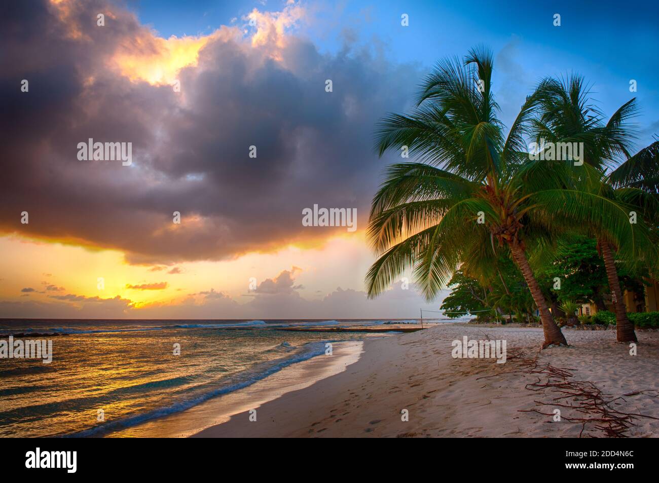 Beautiful sunset over the sea with a view at palms on the white beach ...