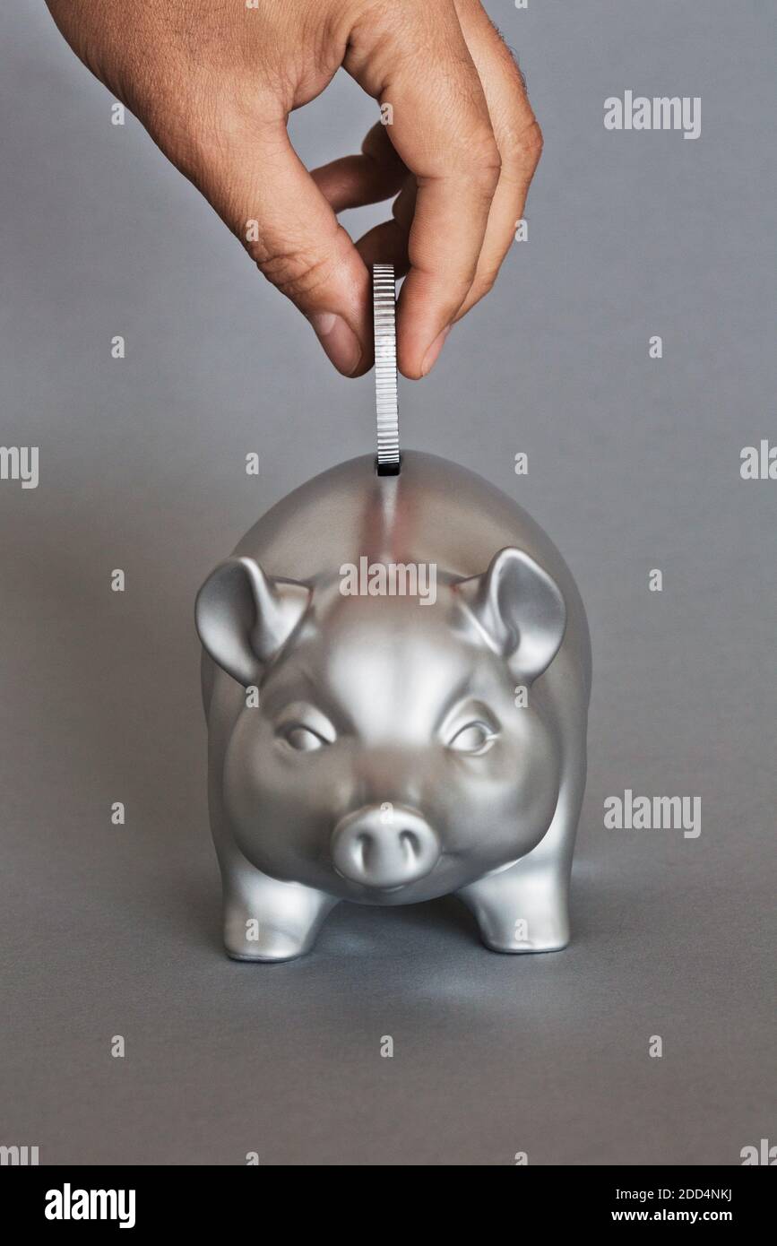 Silver piggy money bank Stock Photo - Alamy