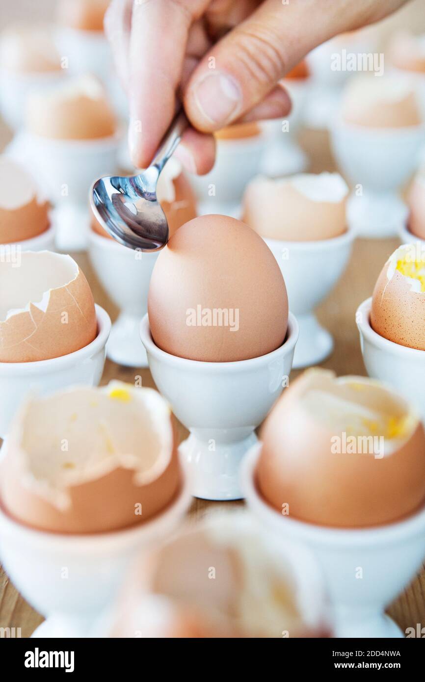 Many empty eaten eggs, one whole one being cracked open Stock Photo - Alamy