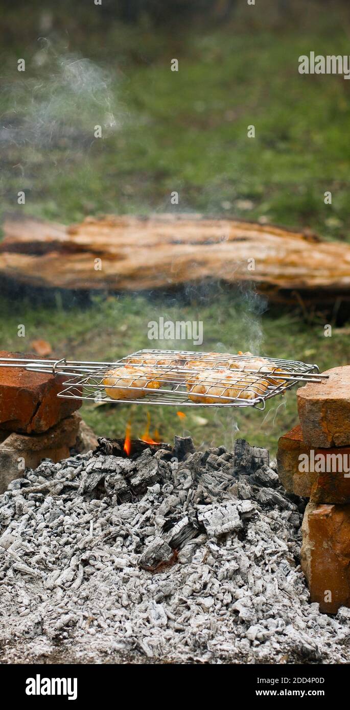 Pieces of fried chicken baked on on an open fire Stock Photo - Alamy
