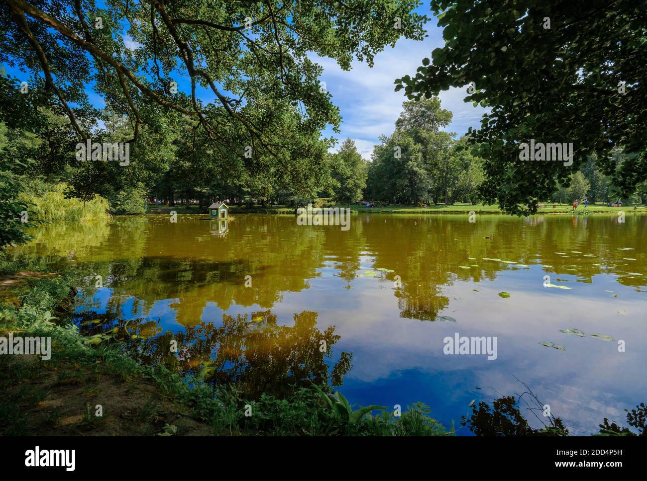Green picturesque park pond hi-res stock photography and images - Alamy