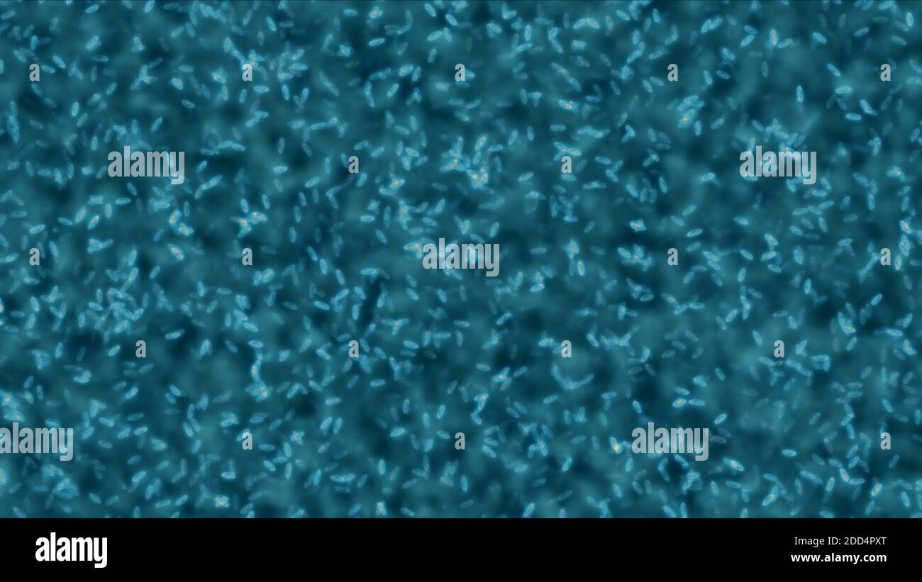 bacteria seen on a microscope, illustration render Stock Photo - Alamy