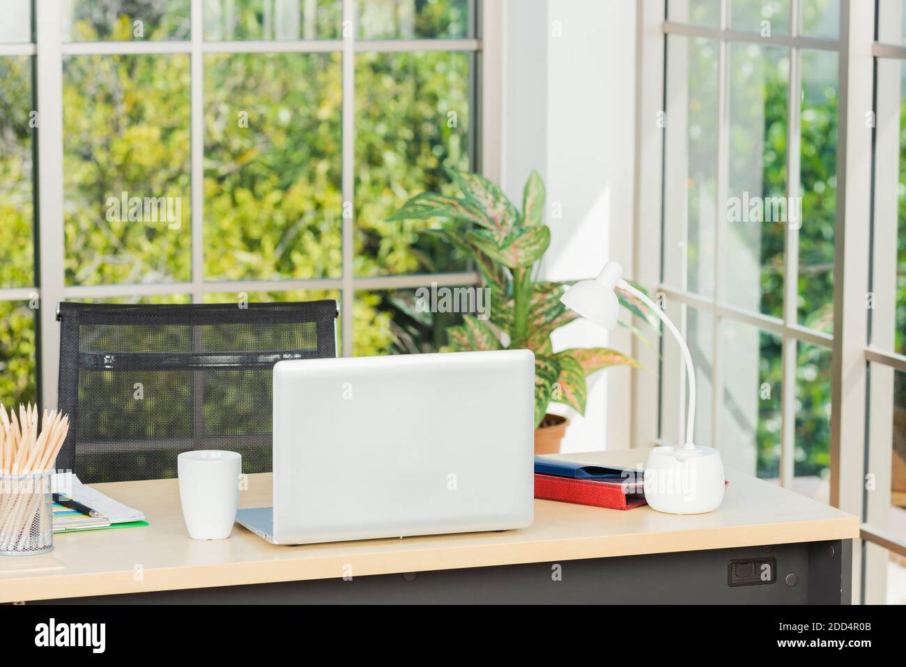 Back laptop computer putting on working desk, Workplace with notebook ...