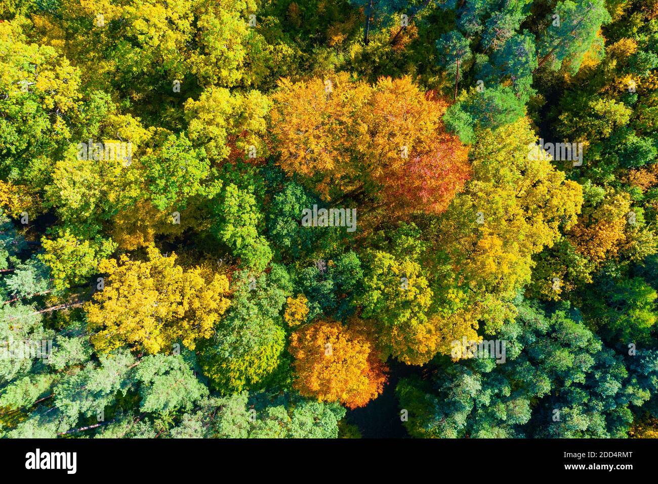 Aerial top view vibrant hi-res stock photography and images - Alamy