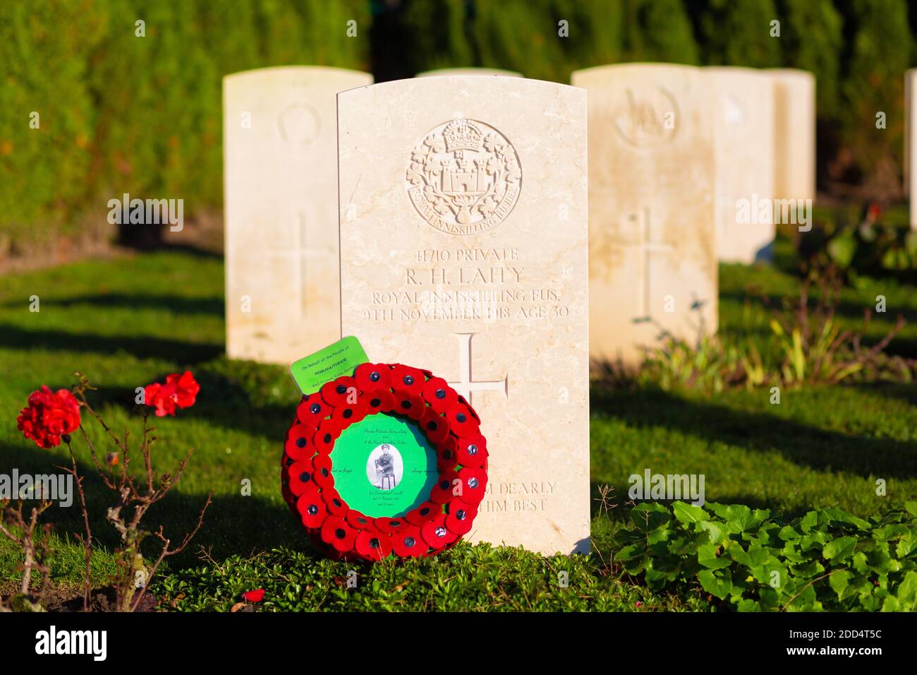 World war war wwi first world war british rhine hi-res stock ...