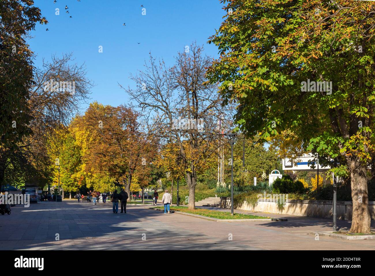 RUSE, BULGARIA - NOVEMBER 2, 2020: Typical Building and street at the ...