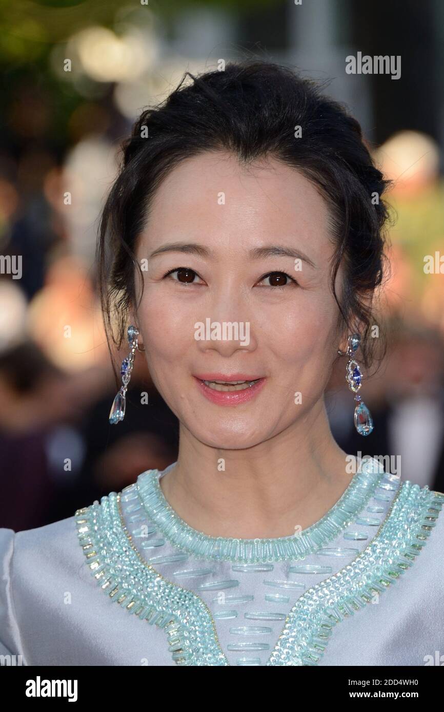 Zhao Tao attending the Les Eternels Premiere held at the Palais des ...