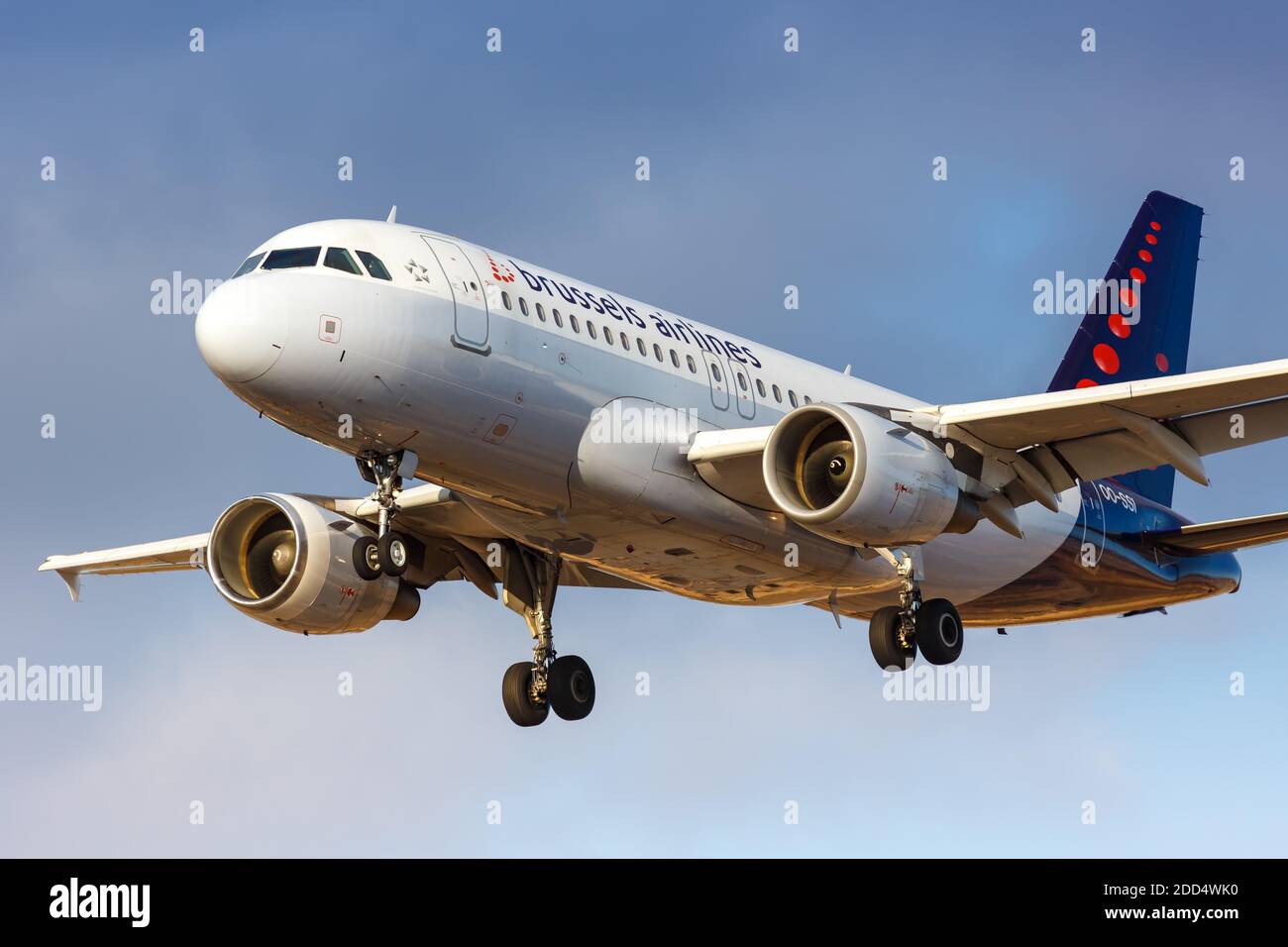 Tfs hi-res stock photography and images - Alamy