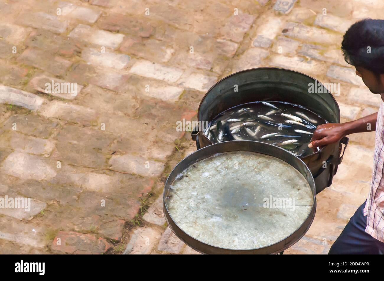 A fish monger/fish merchant waits for customers Stock Photo - Alamy