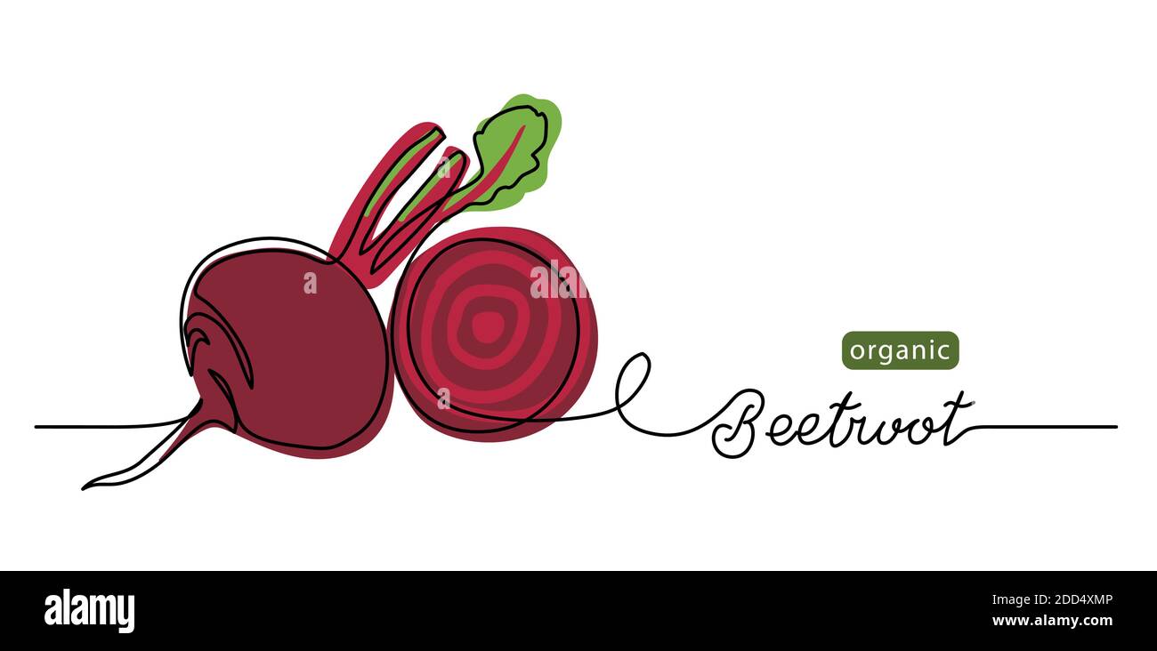 Beetroot vector illustration, background. One line drawing art ...