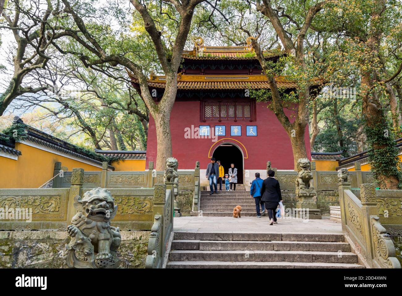 A Chinese traditional Buddha Fayu Temples in the Putuoshan, Zhoushan ...