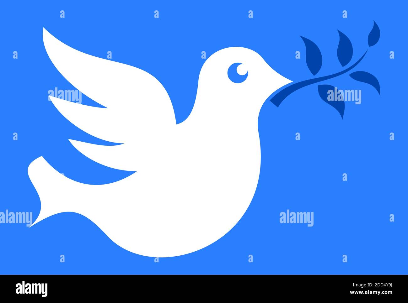 Dove with olive branch as symbol of peace and ceasefire after war and ...