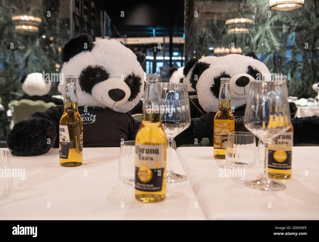 Panda mie hi-res stock photography and images - Alamy