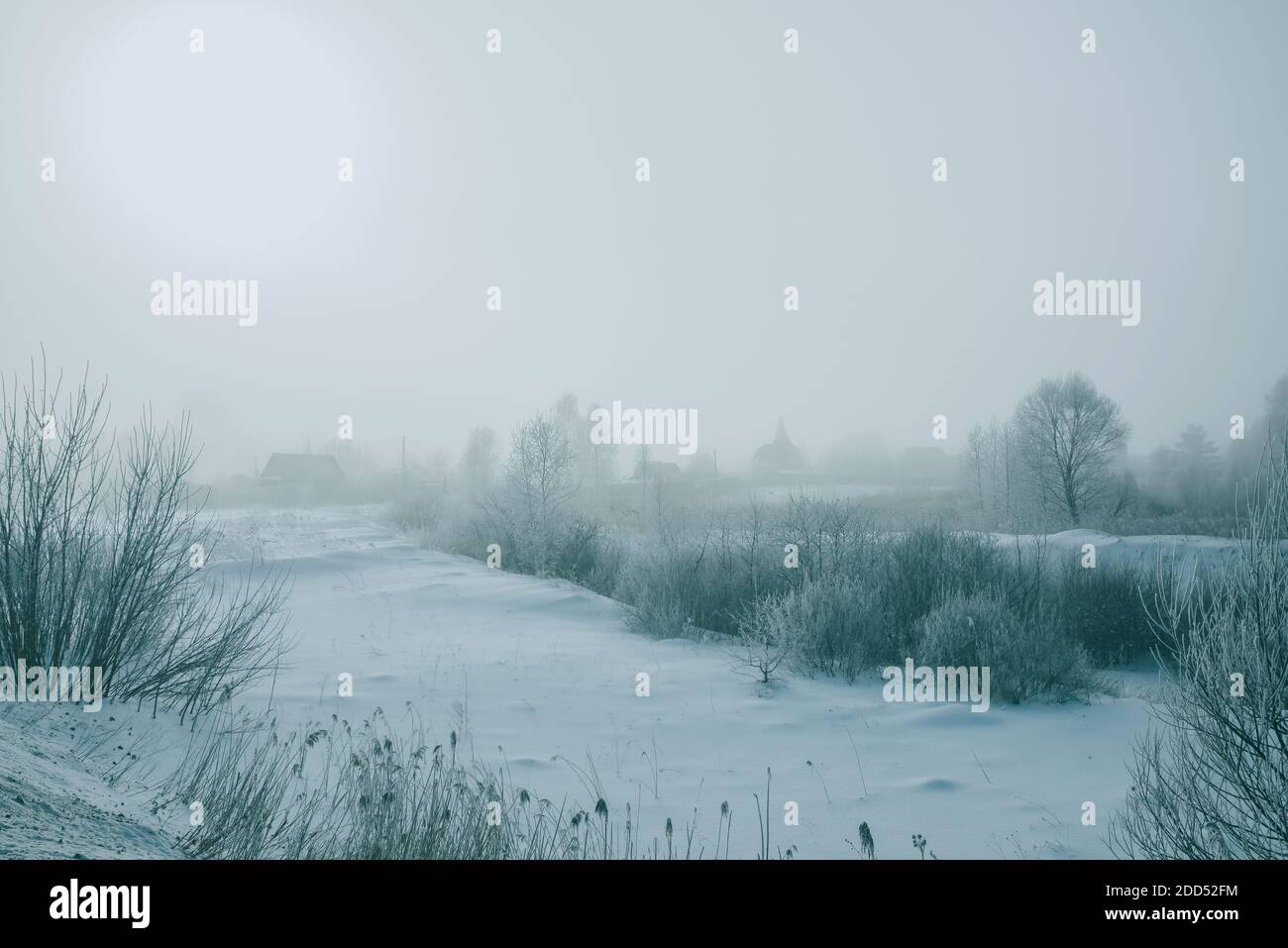 Winter, frosty landscape with white trees in a cold fog. Frosty, winter ...
