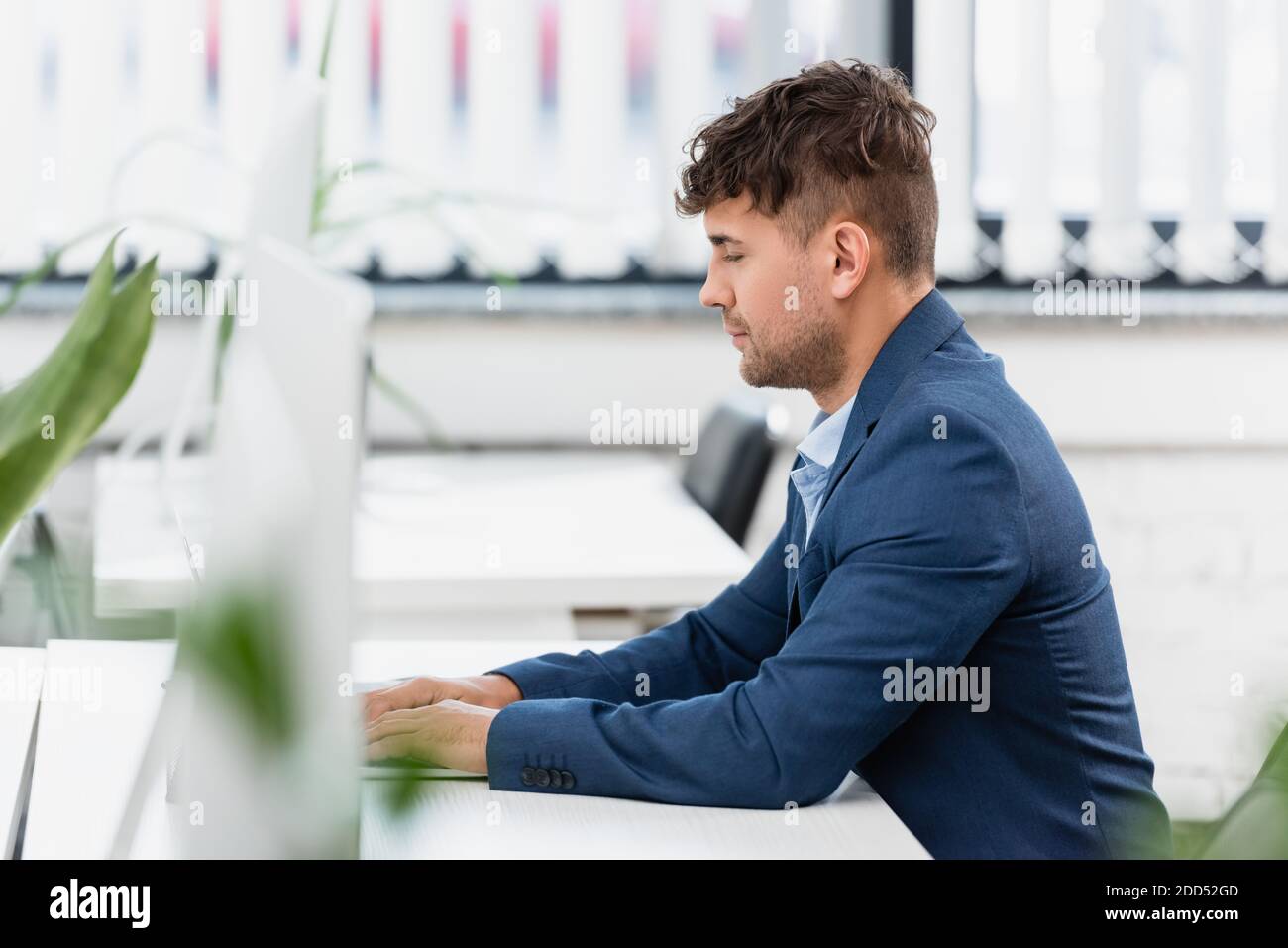 Executive working, while sitting at table in office with blurred plant ...