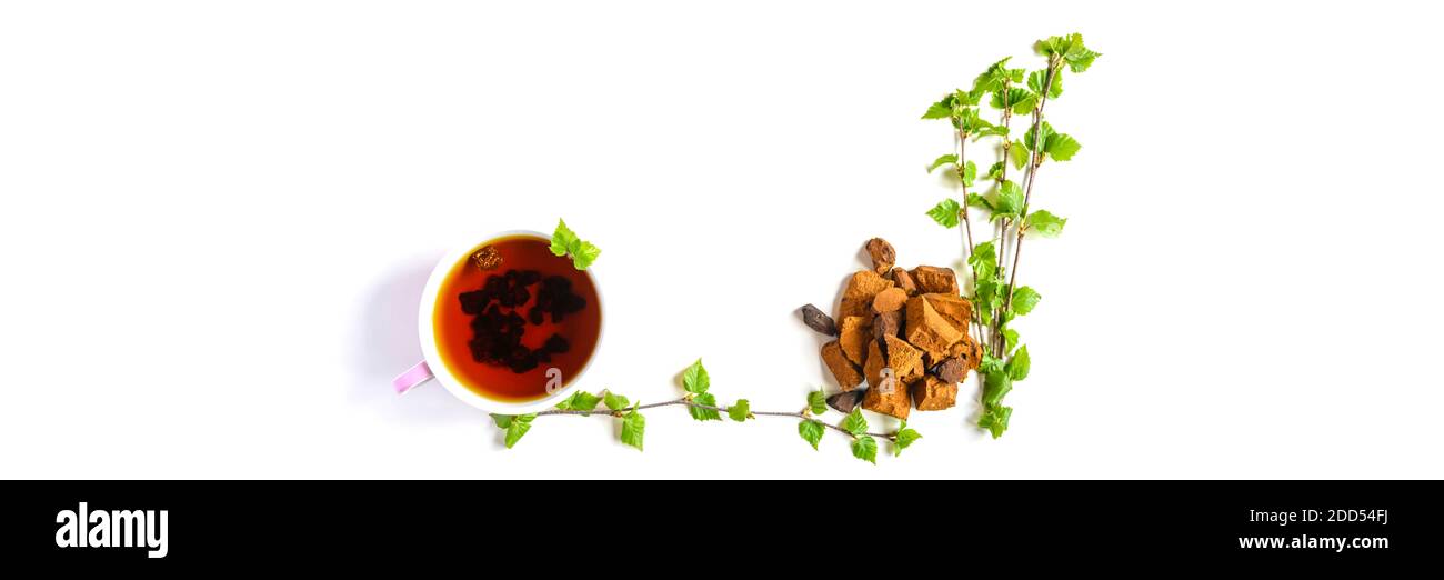 Cup of tea of birch chaga mushroom and crushed chaga fungus pieces for ...