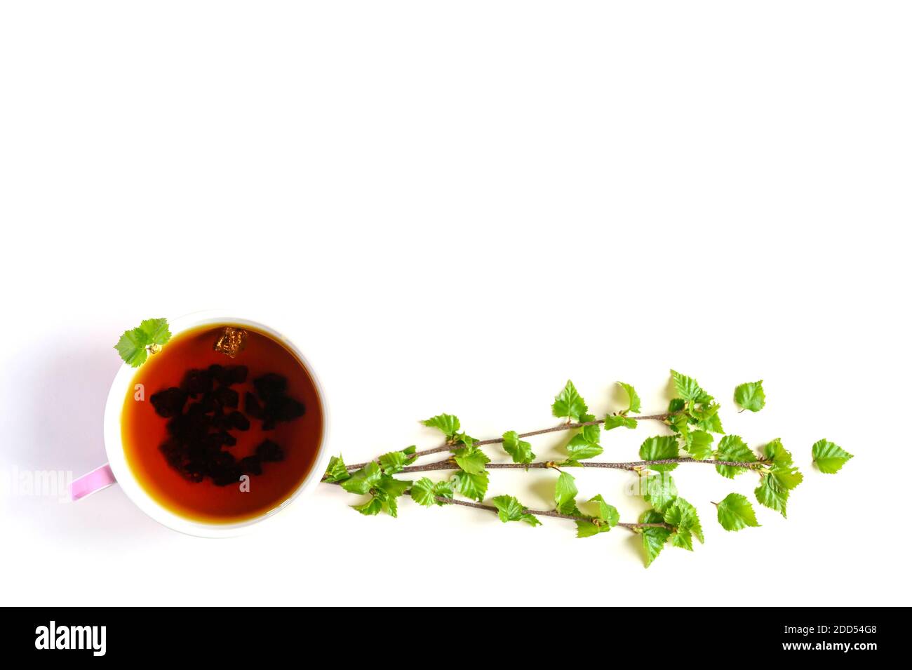 Cup of tea of birch chaga mushroom and crushed chaga fungus pieces for ...