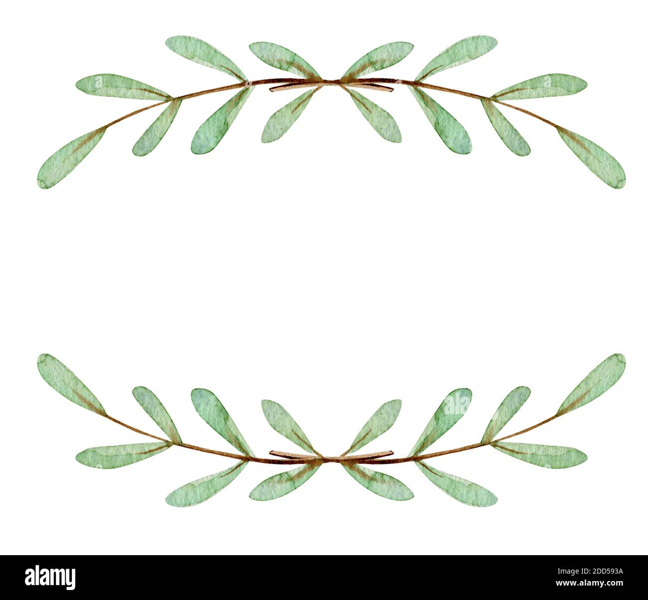 Greenery border isolated on white background Stock Photo - Alamy