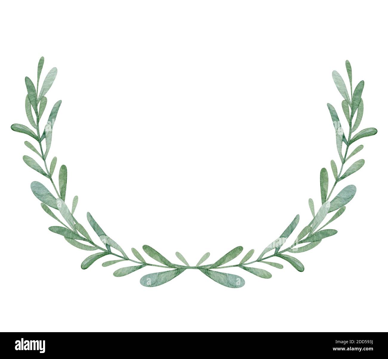 Greenery border isolated on white background Stock Photo - Alamy